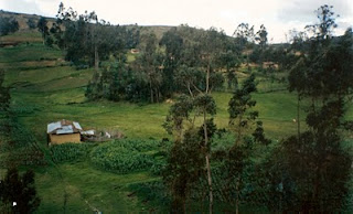 Caserio El Tingo :: EL TINGO